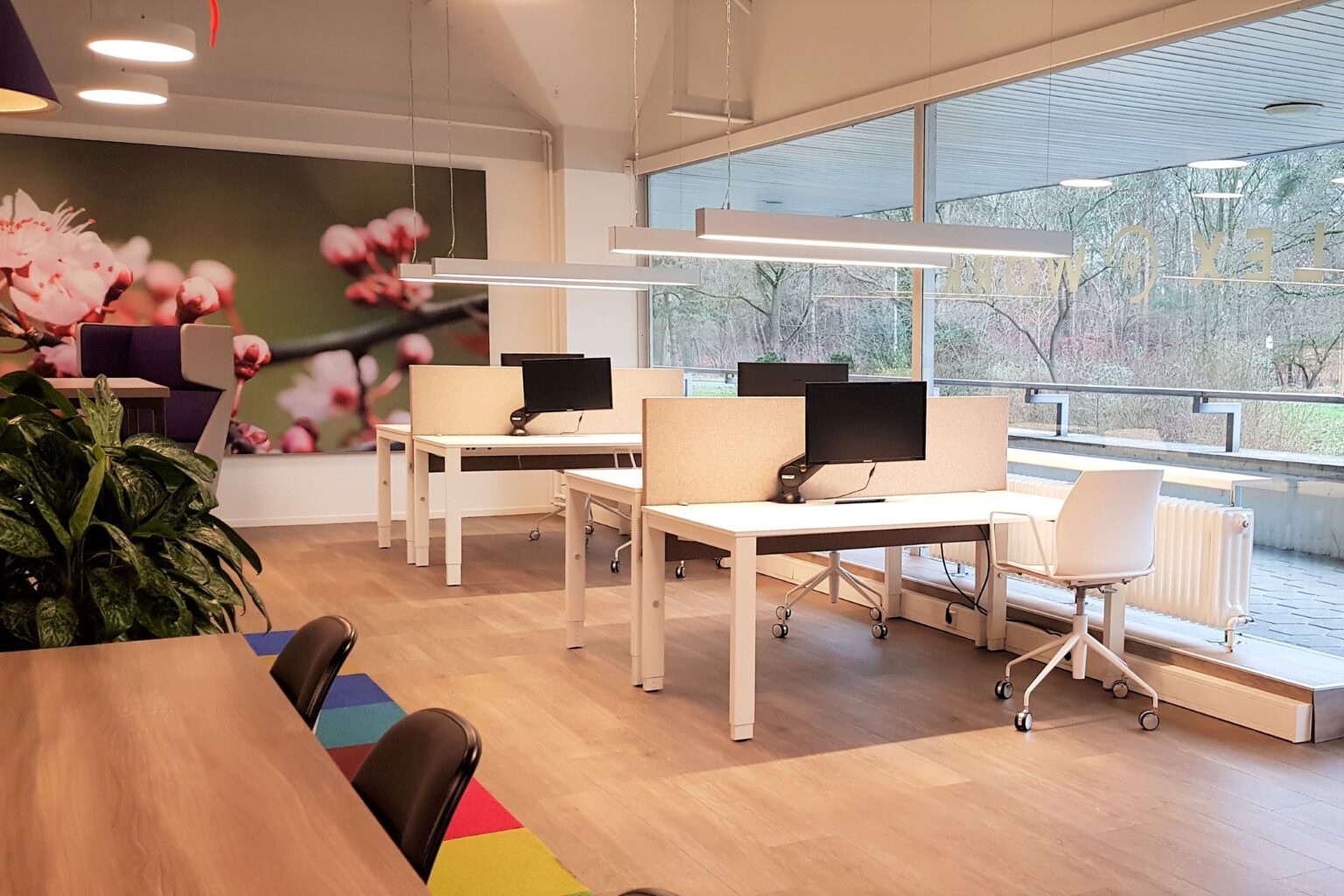 Flexplekken - Flex@Work